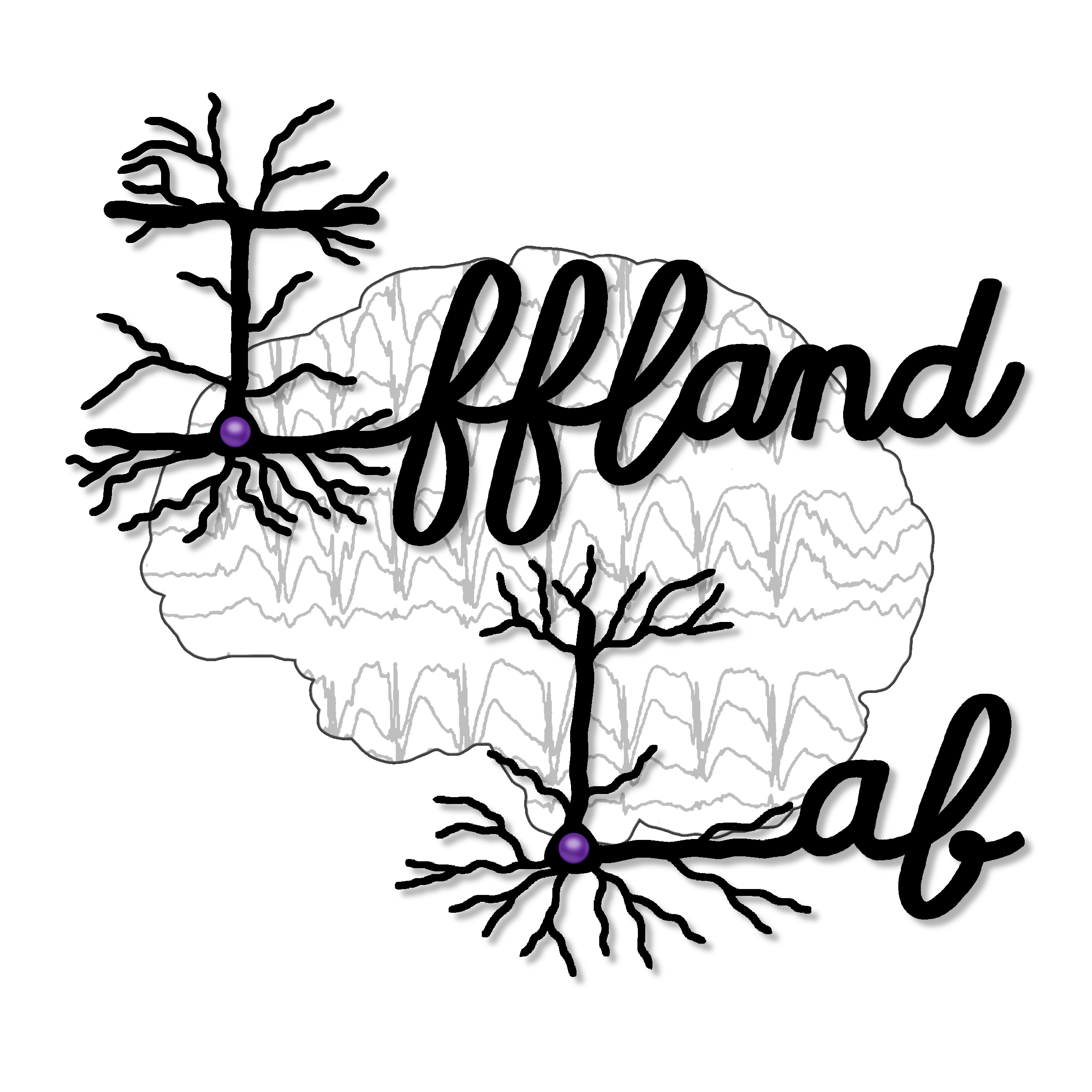 Iffland Lab